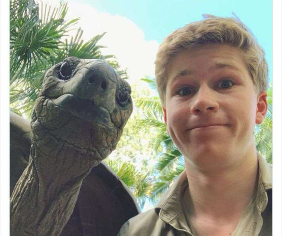 Turtles being ridiculous and adorable were captured on video 20 times ...